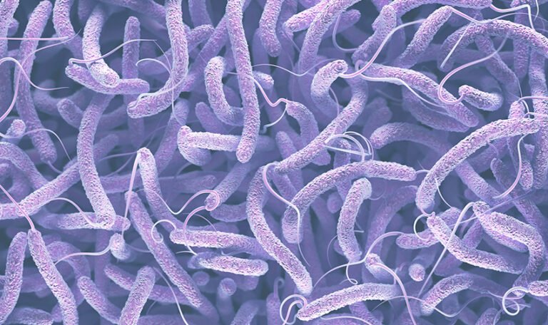 The Outbreak of Cholera in the Streets of Victorian Soho